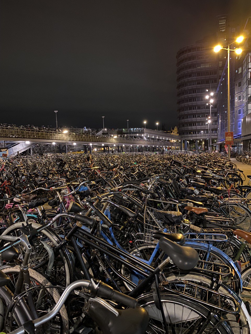 Inaugurato ad Amsterdam il primo parcheggio subacqueo per bici | One ...