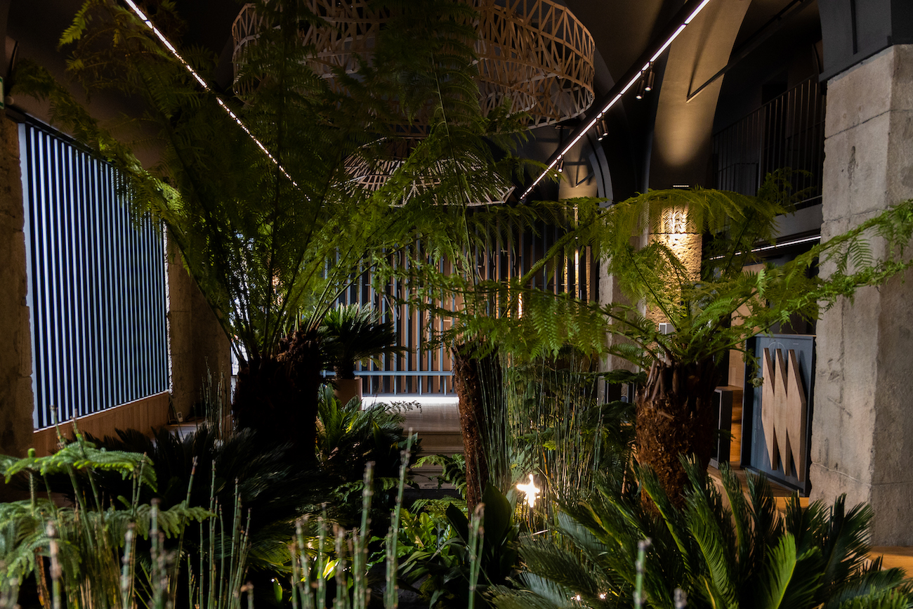 Neuro Nature, la foresta primordiale rigenerativa | One Listone Giordano